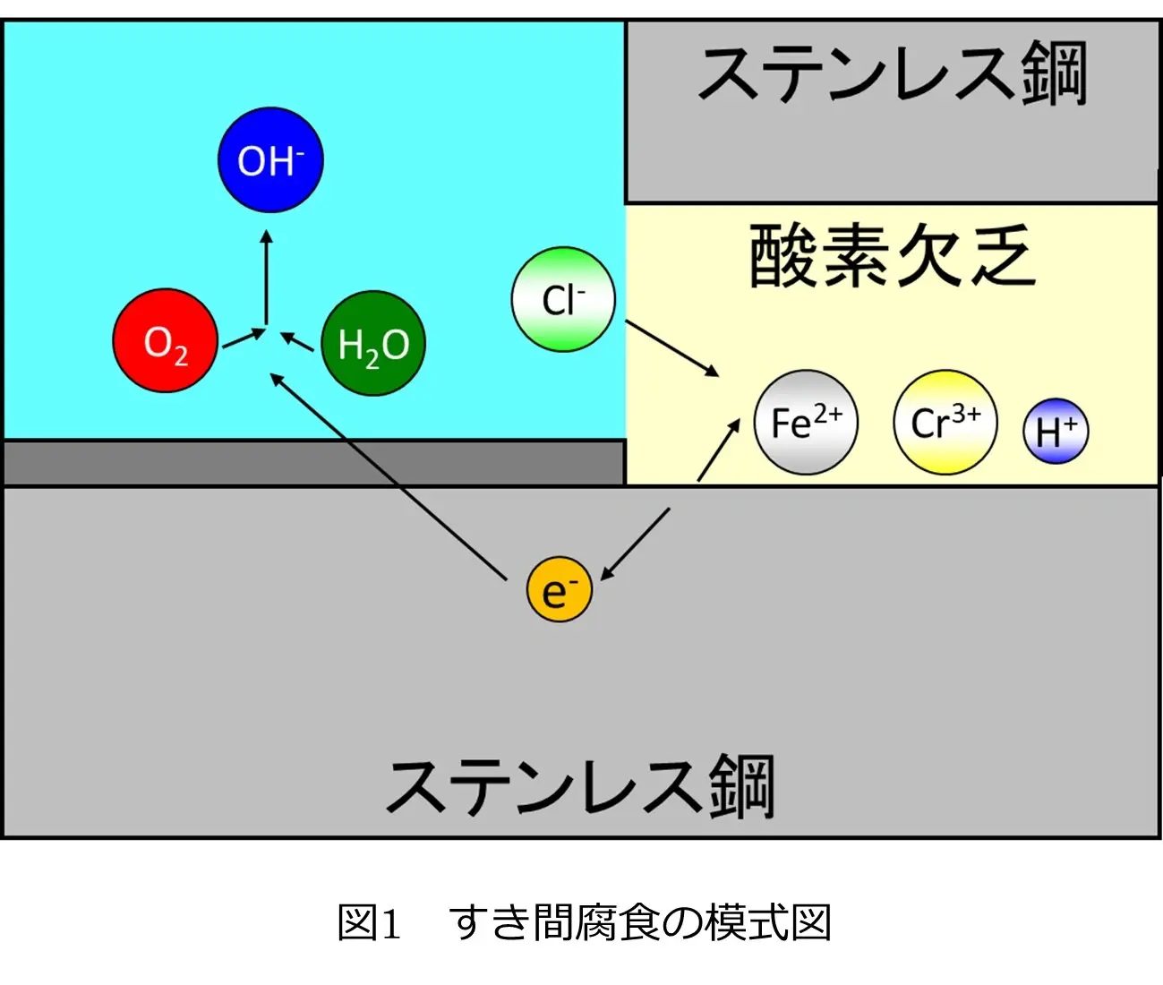 塗装と腐食の関係性 ⑮すき間腐食