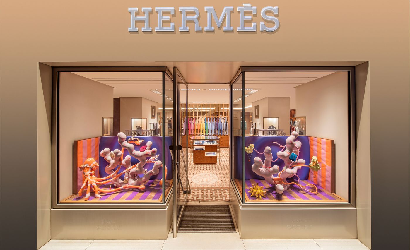 Deep Flight 🐡🪼🐠 – Tin&Ed